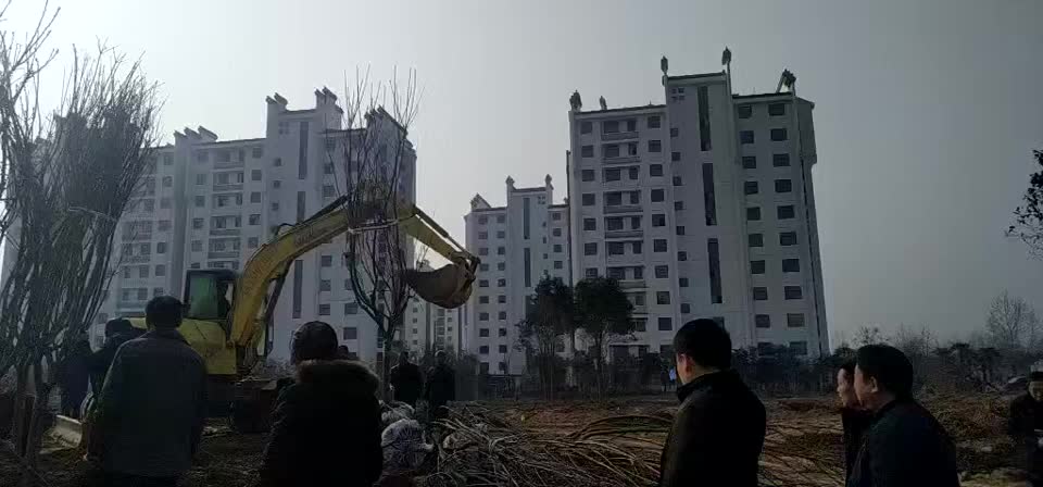 植树造林,绿化家乡!