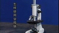 显微镜的结构和使用1 (1)