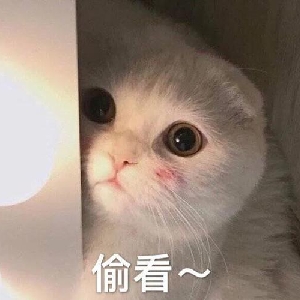 小姜姜爱吃鱼 