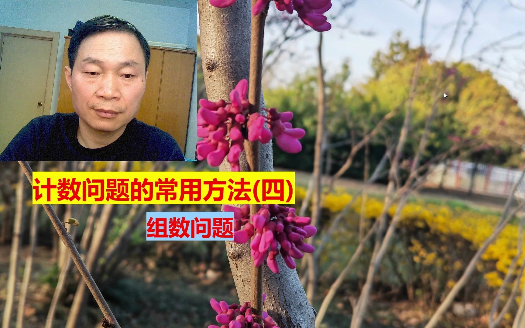 计数问题的常用方法(四)组数问题