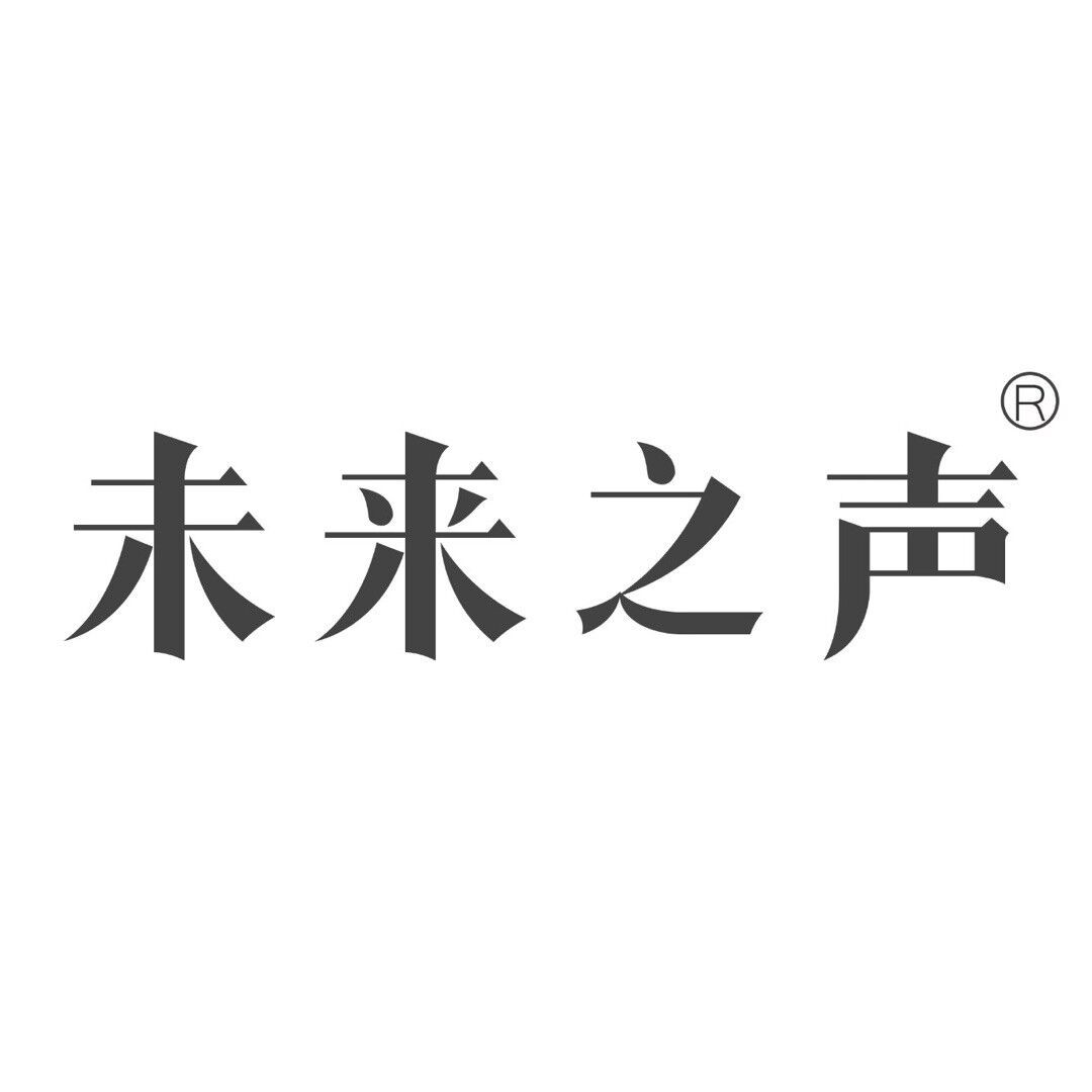 未来之声乐器专营店 