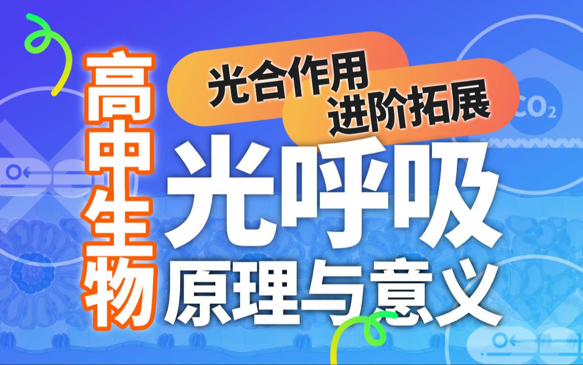 【高中生物光合进阶】光呼吸-原理动画化与意义分析(以C3植物为例)