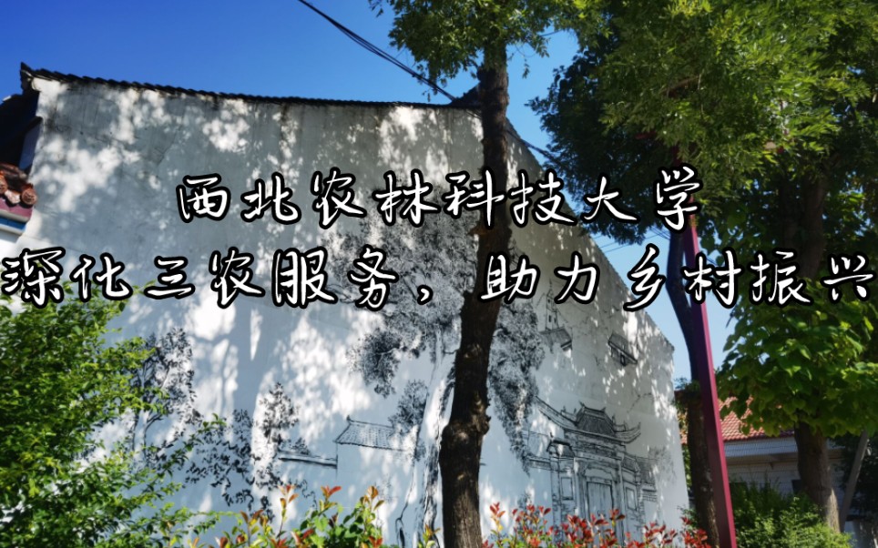 【三下乡】西北农林科技大学学子暑期社会实践:深化三农服务,助力...