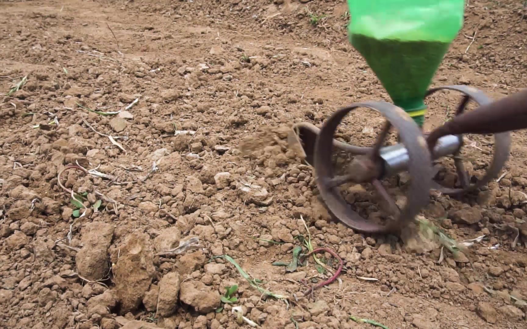 小暑播种谷子,到秋天就能用新米做粥了。