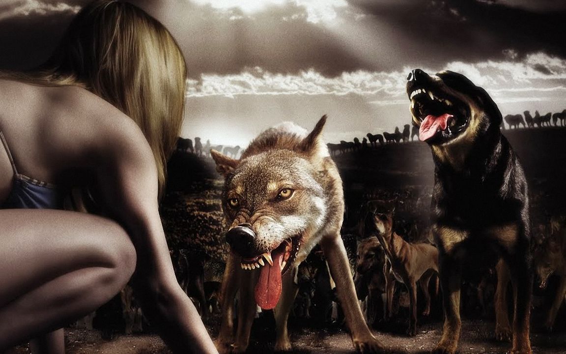 几分钟看完美国惊悚片《嗜血狂犬》,高智商狗群团灭旅游小队