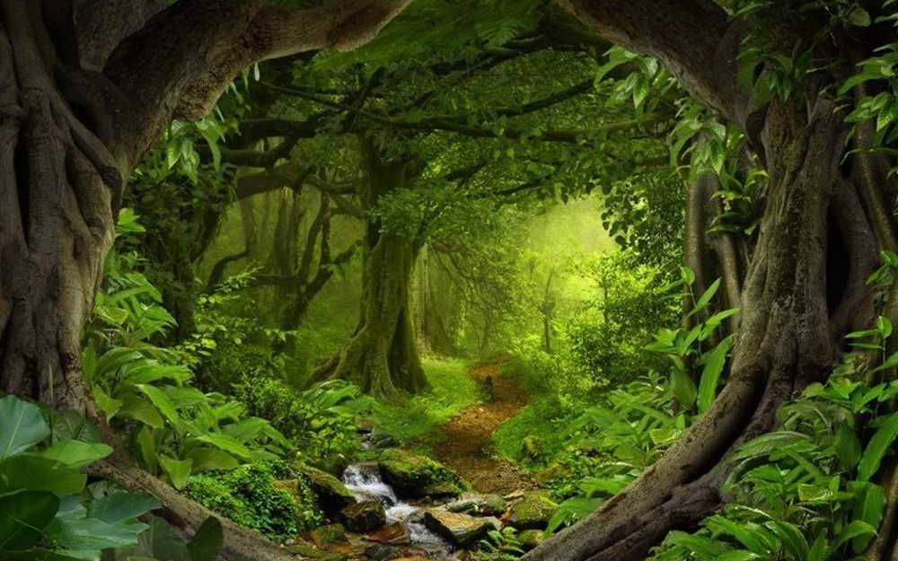 【转载】【英语单词】Portrait"肖像;肖像画"的词根和常见用法