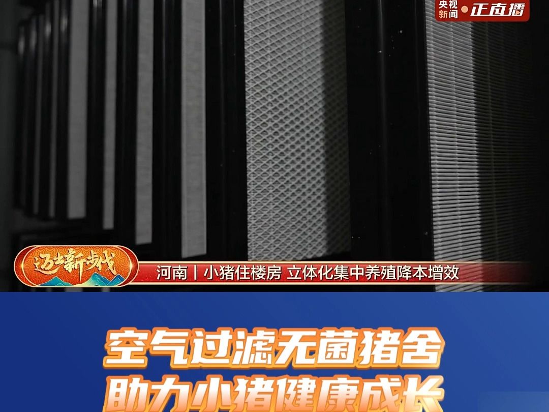 央视新闻新年特别报道《迈出新步伐》| 牧原:空气过滤无菌猪舍 助力...