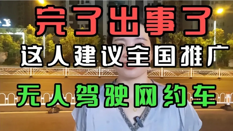 完了出事了,这人建议全国推广,无人驾驶网约车