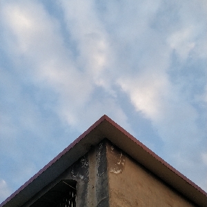 任务了狗 