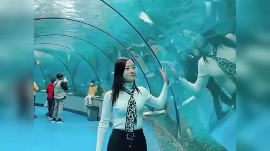 美丽的海底世界