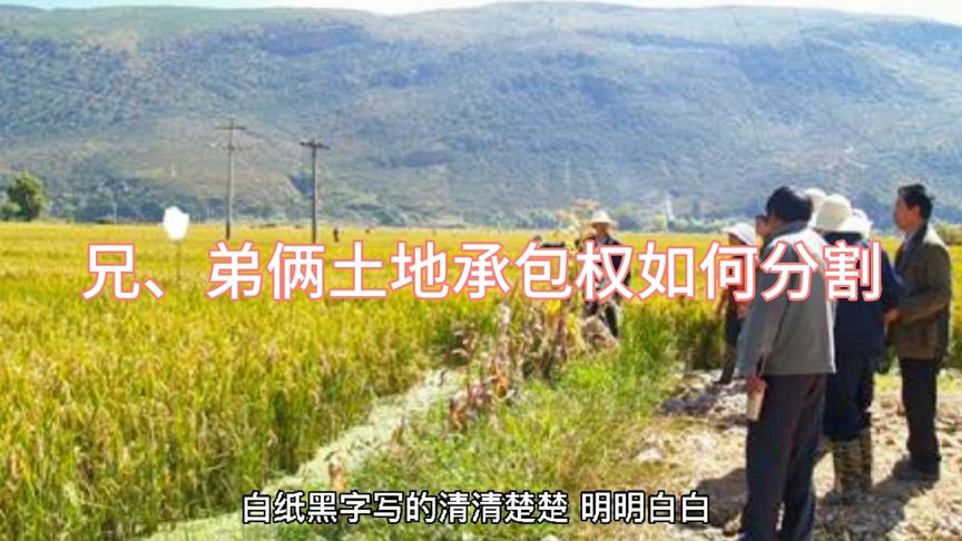 土地承包户主是父亲,哥种地,弟经商,兄弟俩想各自分开,如何分