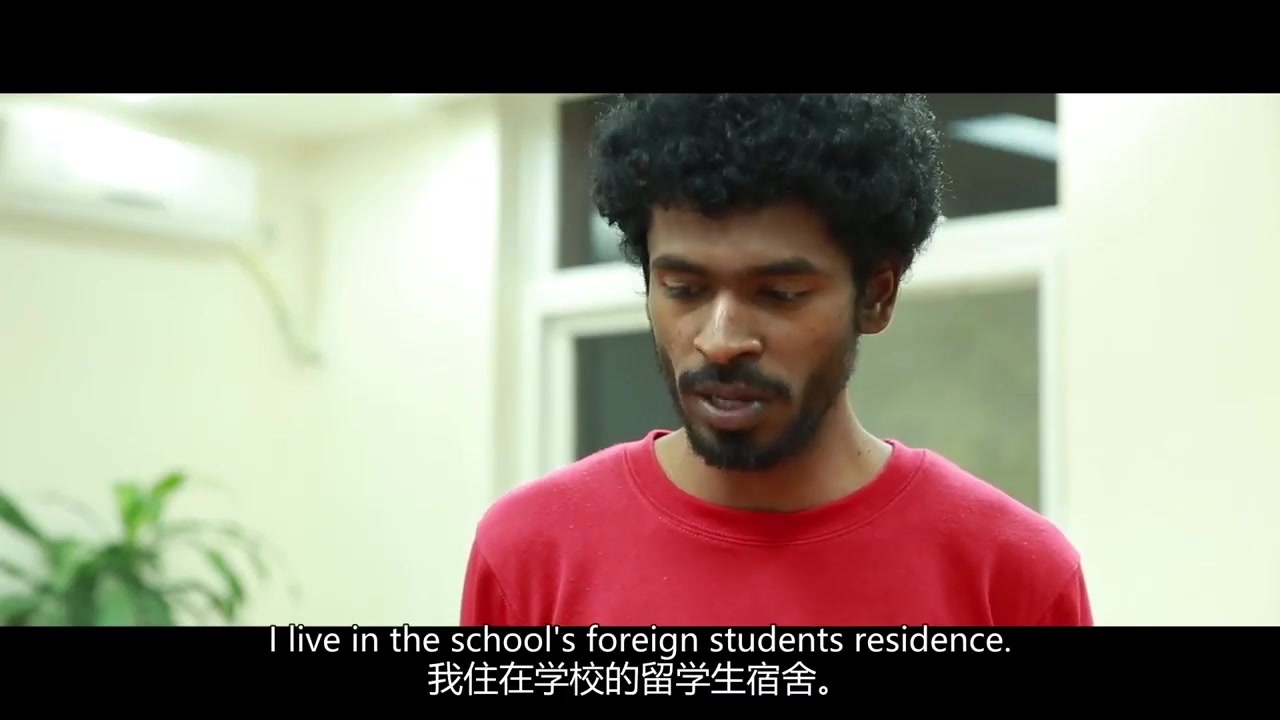 Speedup functional Chinese 功能汉语速成