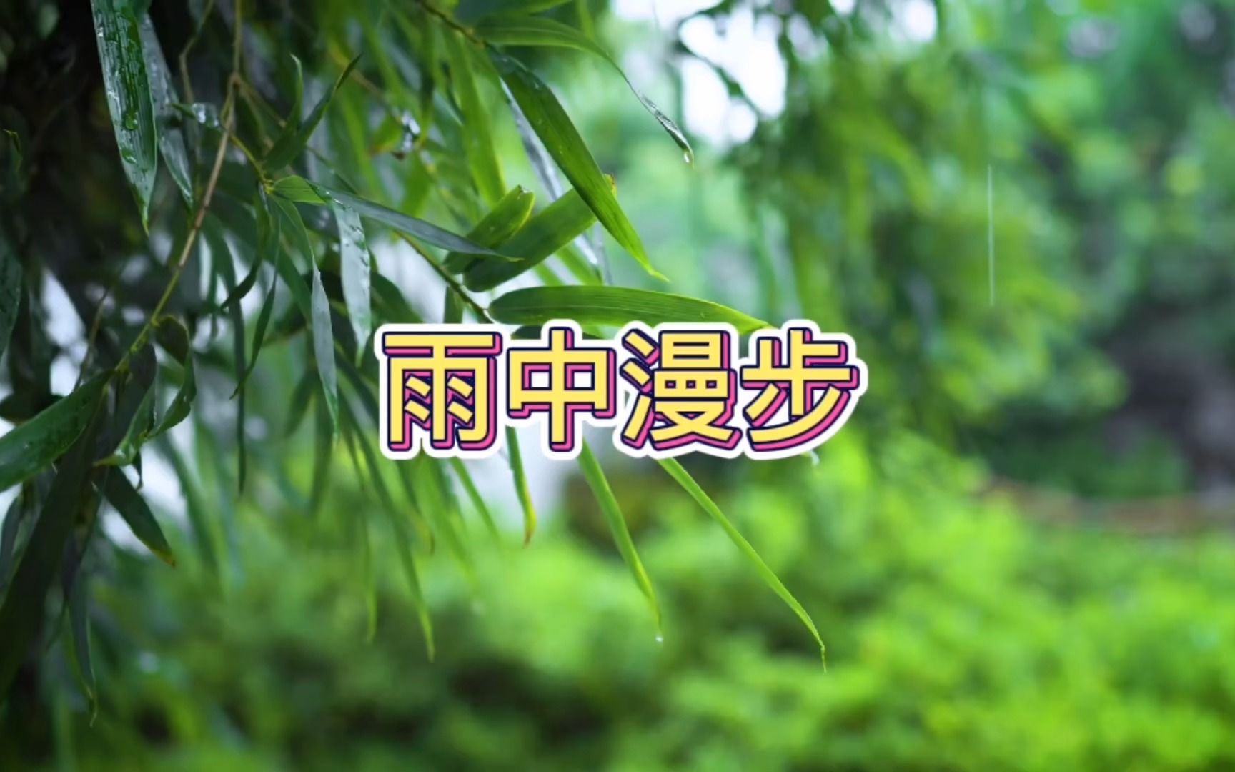 轻音乐《雨中漫步》愉悦的旋律,让人平和,舒适凉爽!