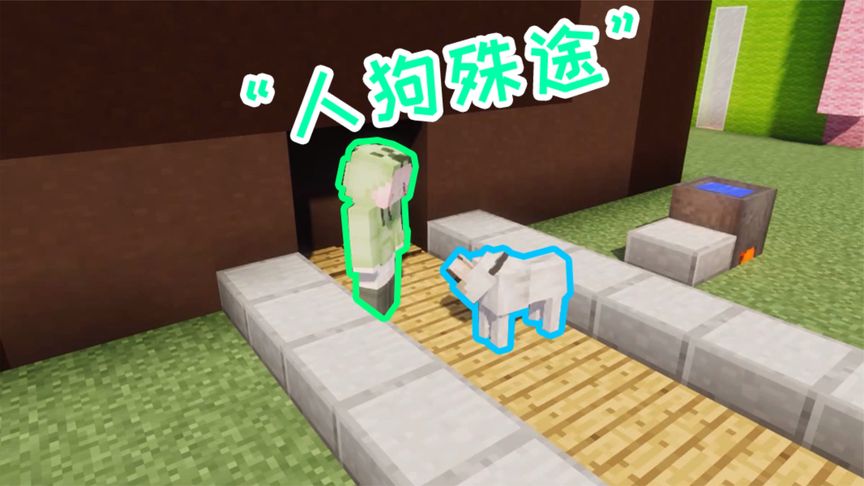 我的世界:怕怕遇小狗,阿青恢复原样
