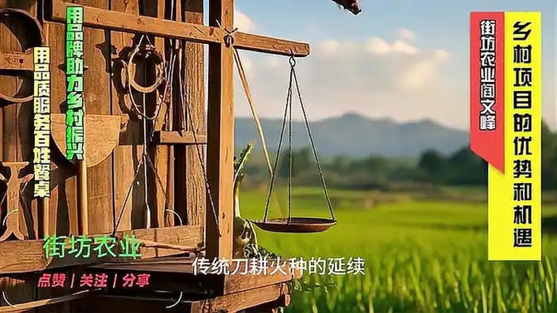 街坊农业阎文峰:乡村文旅如何延续传统刀耕火种