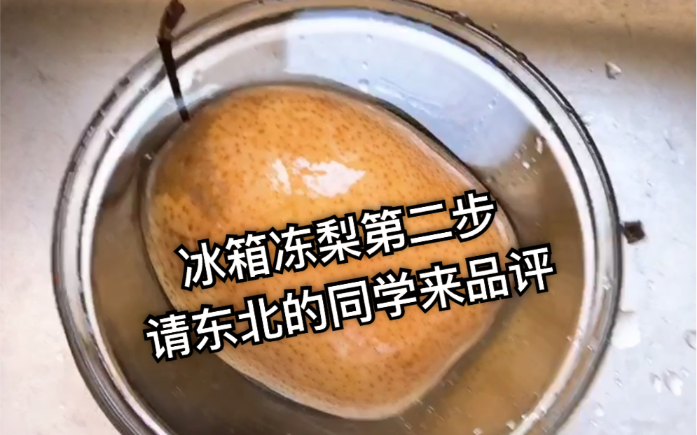 冻梨技术哪家强,冰箱冷冻刚不刚,注意看成果