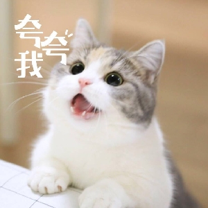 浅绛aa 