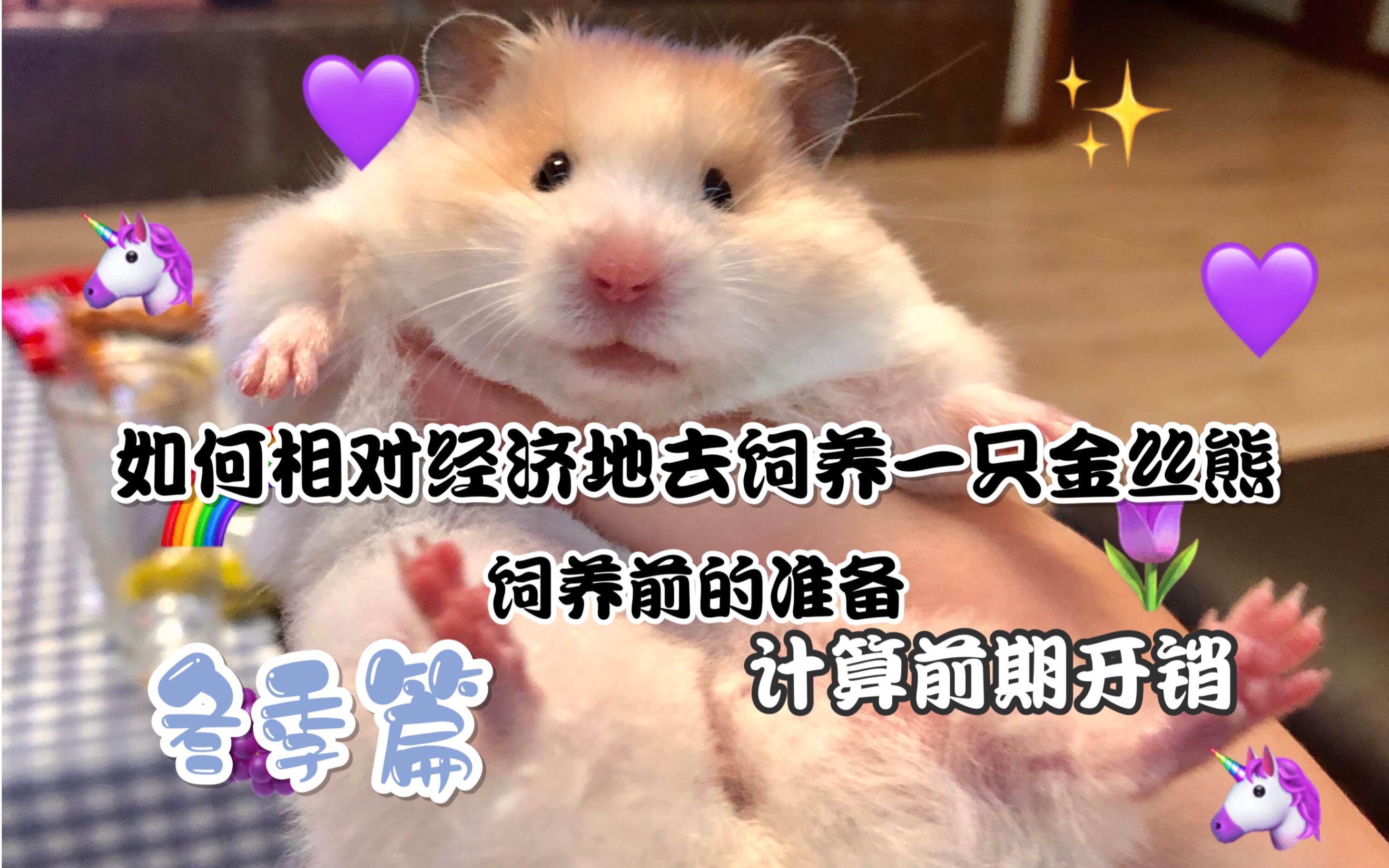 计算最大程度减少开支去饲养金丝熊需要多少钱?