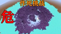 椒盐蛋我的世界懒狗生存 第72集 MC作死挑战!用8万个细菌方块吞噬...