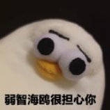 喜凉也喜暖 
