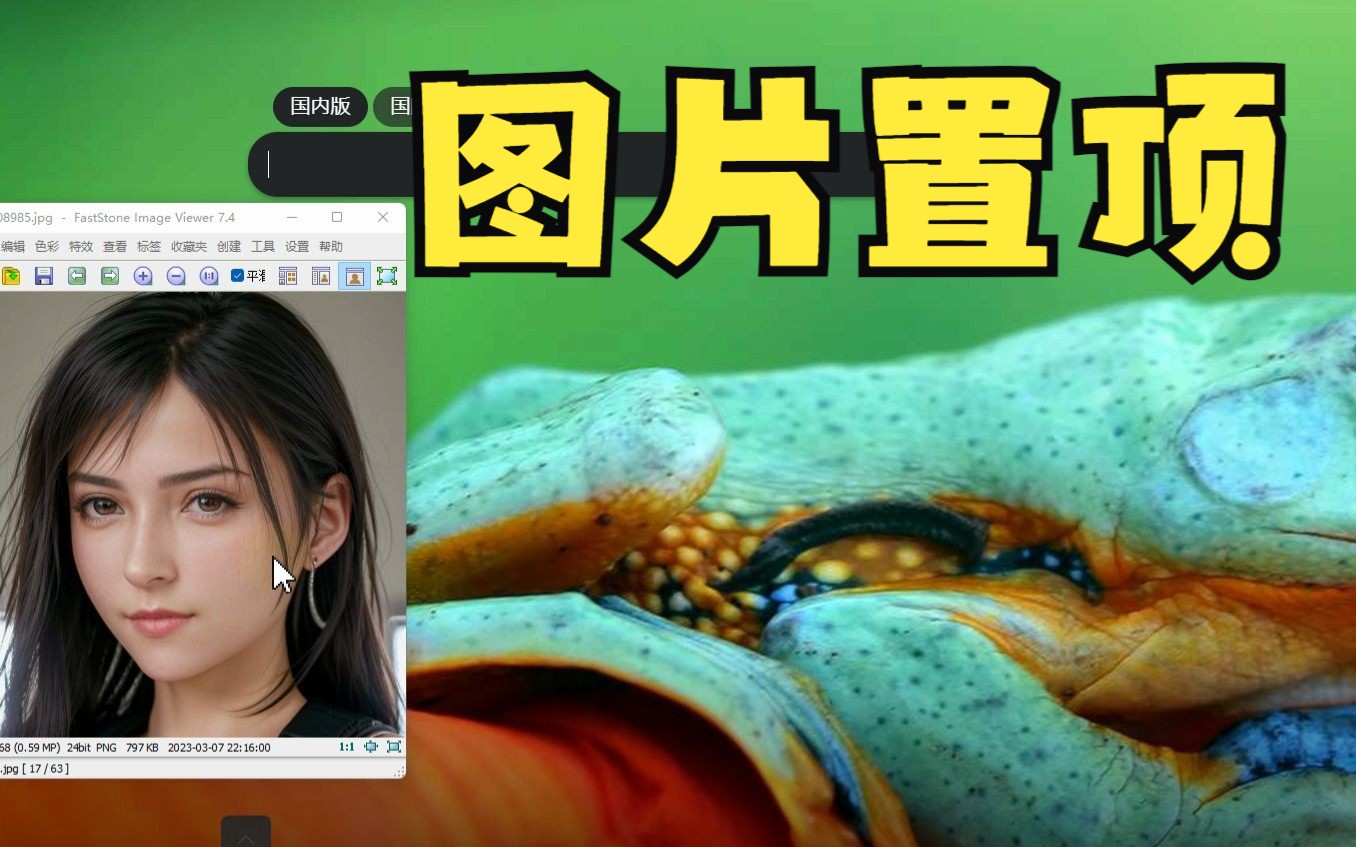 图片置顶和程序窗口置顶(电脑技术)