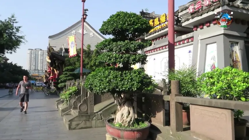 印度人摩旅从老挝入境到中国,被惊呆了12