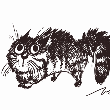顾德猫猫宁 