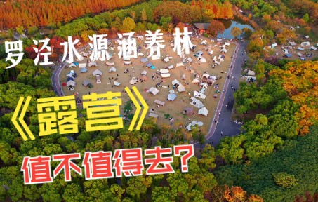 罗泾水源涵养林露营,值不值得去?