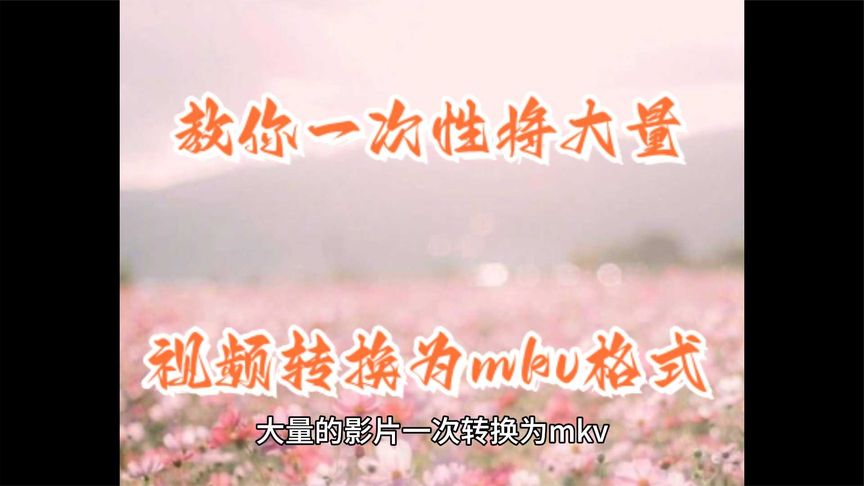 批量转化方式:可以一次将海量的视频文件转化成 mkv
