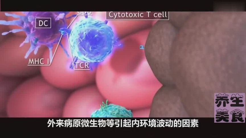 原来我们人体内白细胞是这样追杀病毒和细菌的