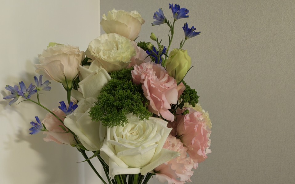 棋手的训练日常～