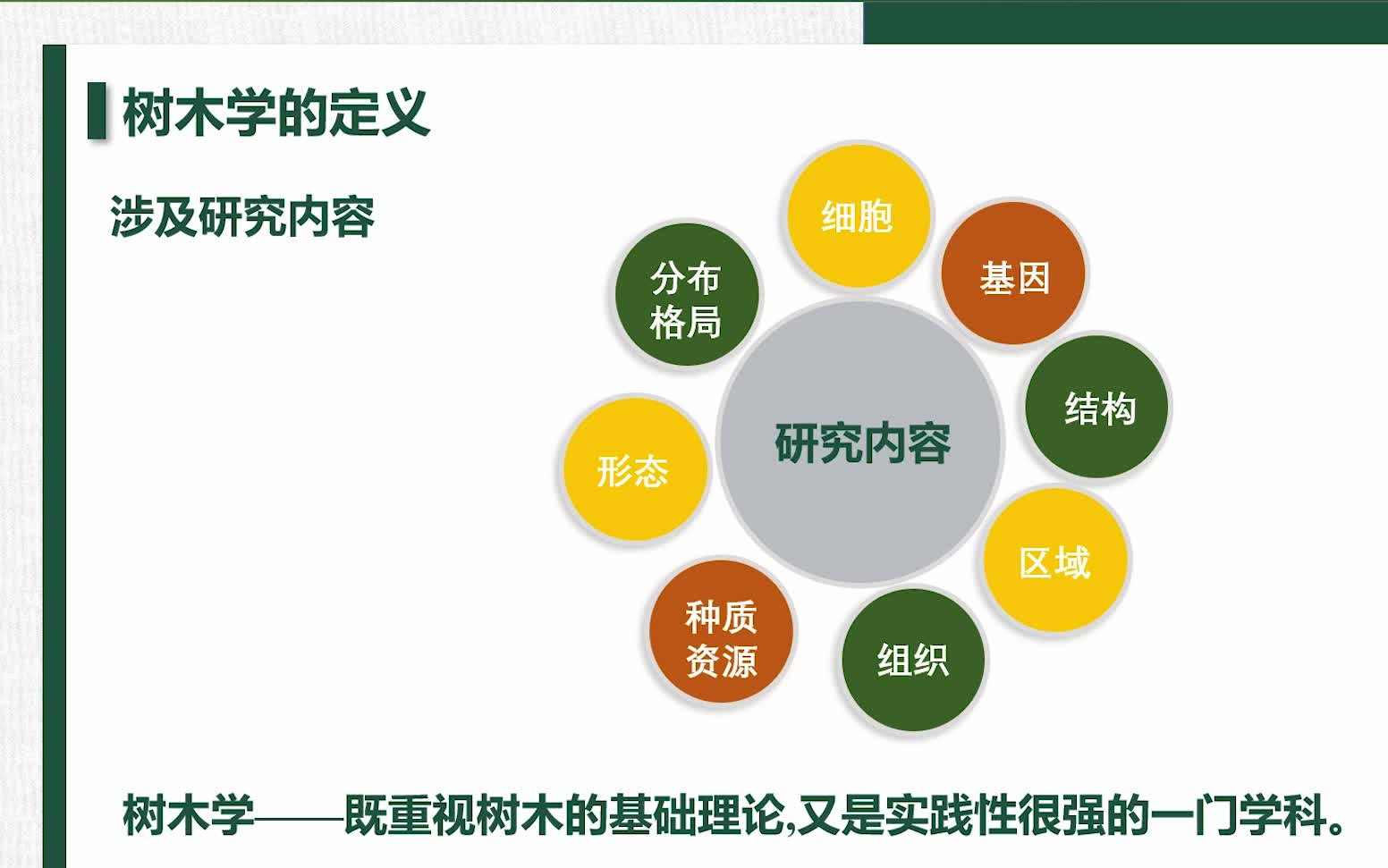 【农林园艺】树木学