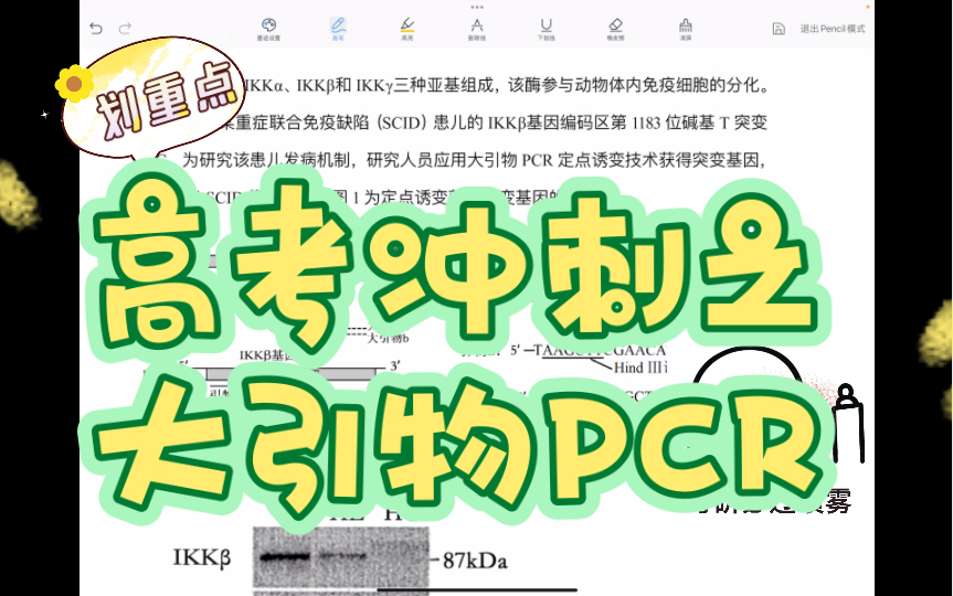 高考冲刺之基因突变-大引物pcr
