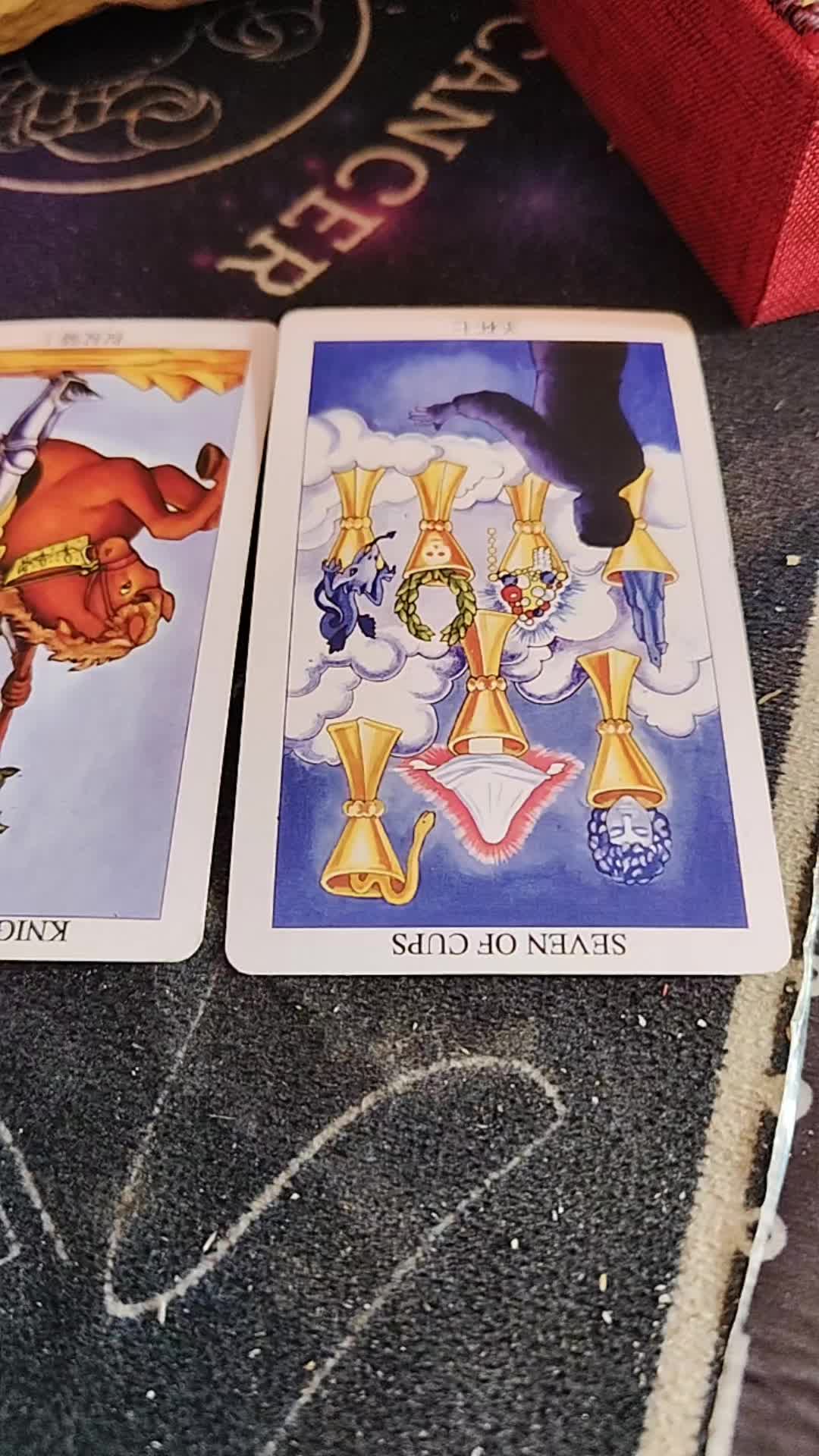 #星座运势 #塔罗测试 #塔罗牌教学 #塔罗牌