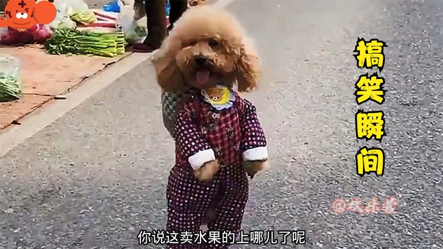 搞笑视频:疫情期间,居家隔离,能把人憋成什么样