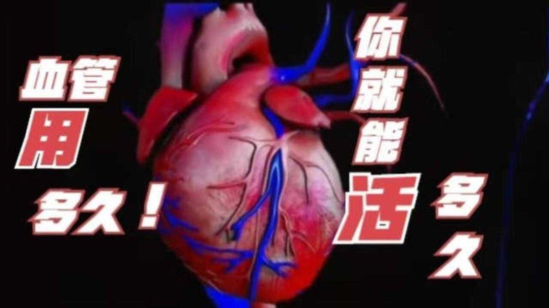 血管:人体血管10万公里,哪段都不能出问题!