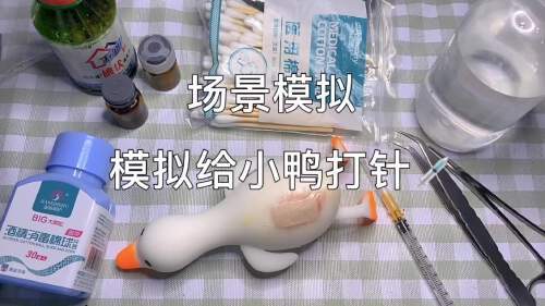 场景模拟模拟给鸭鸭打针