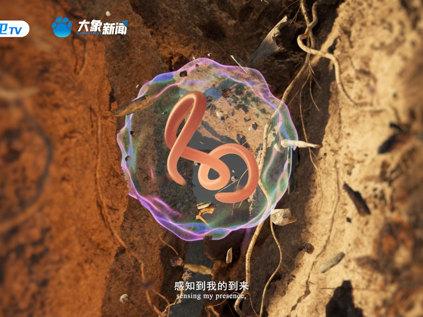 用AI和3D动画还原雪景古画和山海经中的神兽