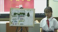 五年级数学实践活动课《绿萝的秘密--多边形面积》+《用数学的眼光看...