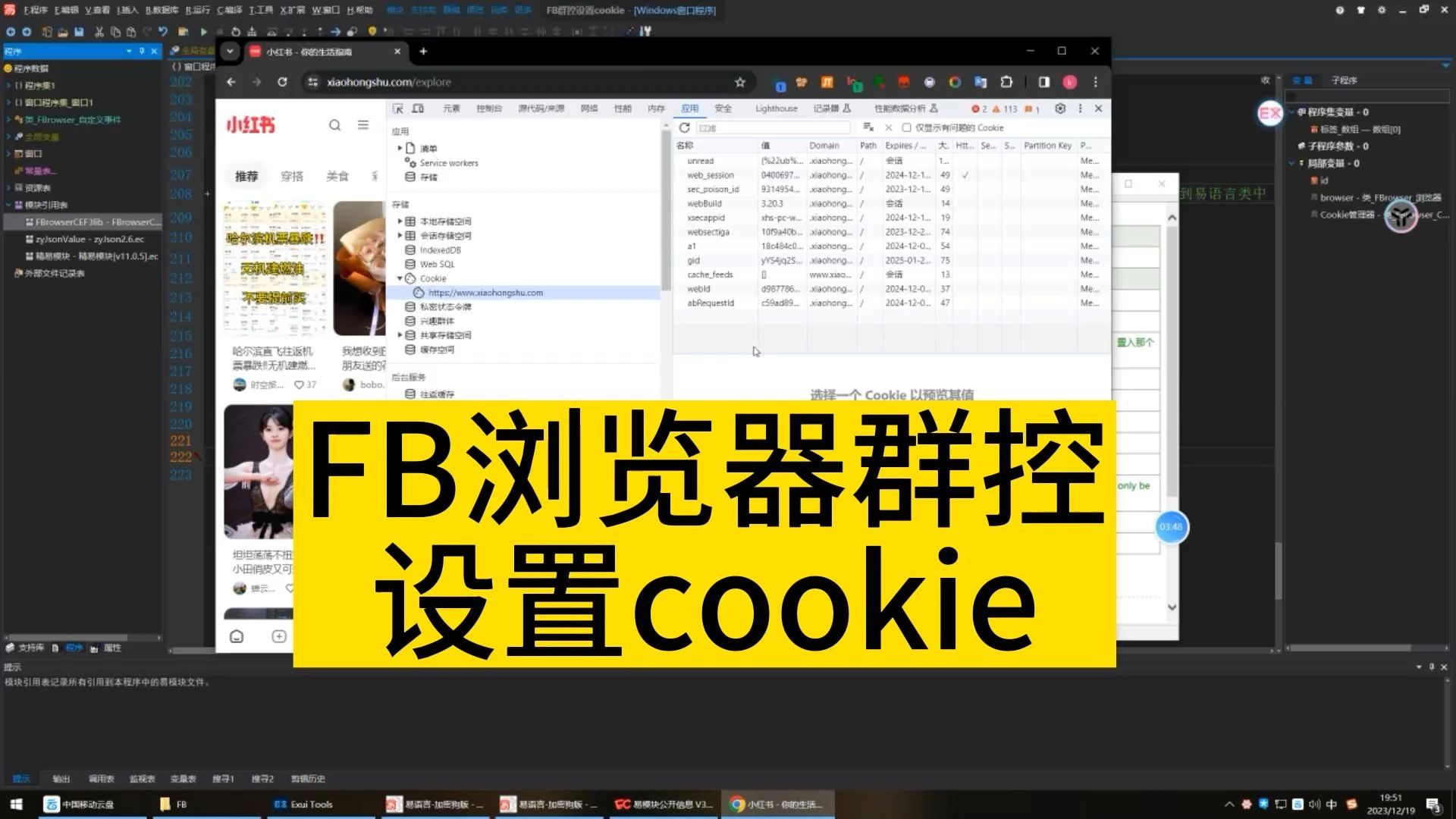 FBrowserCEF3lib浏览器群控多开填表之设置cookie