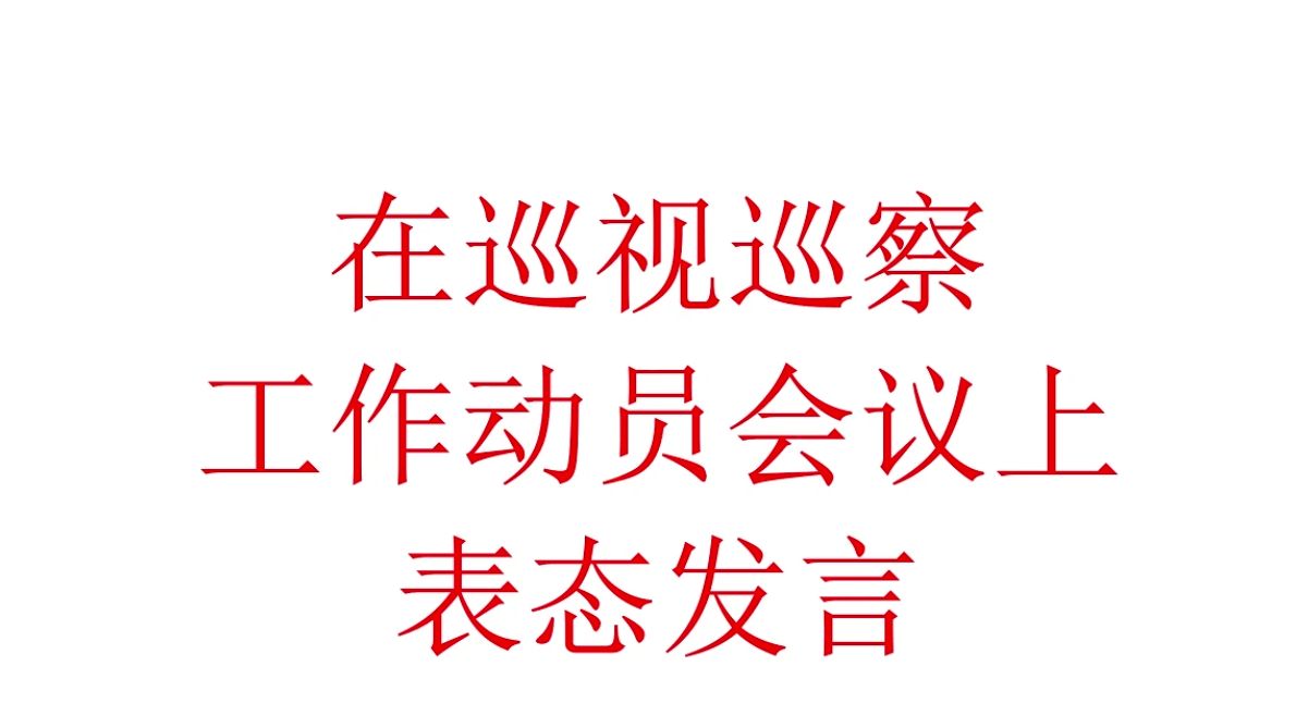 在巡视巡察工作动员会议上的表态发言