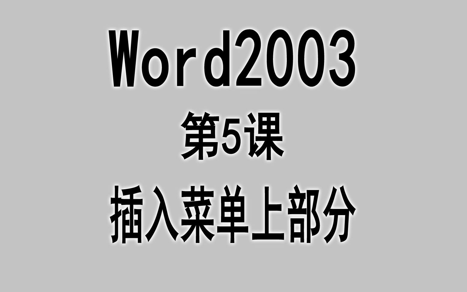 word2003第5课插入菜单上部分