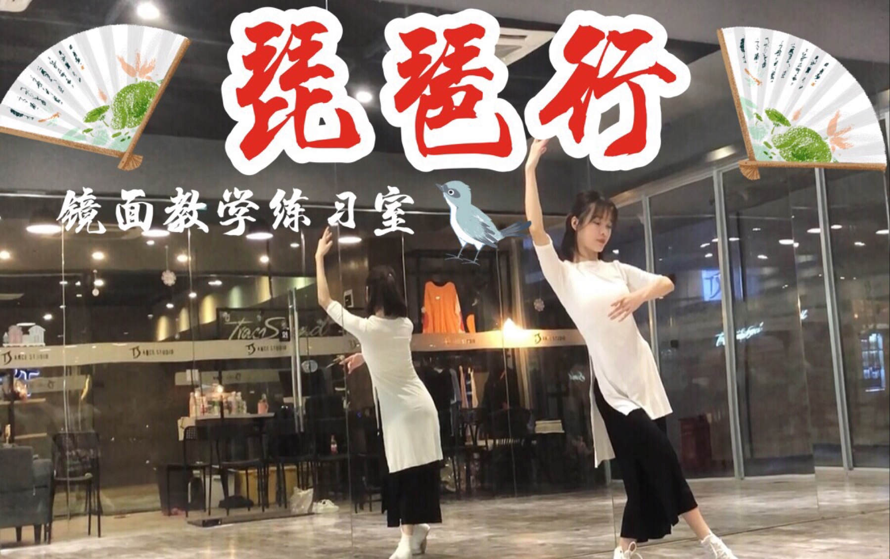 【盖盖】琵琶行舞蹈 镜面教学练习室
