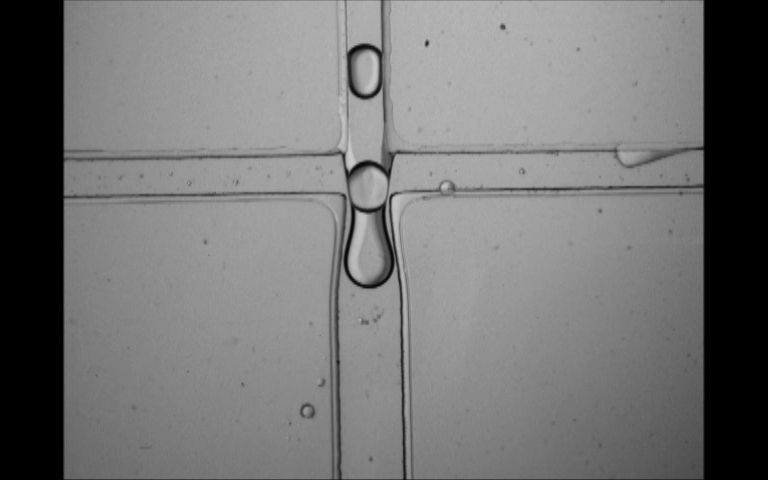 液滴微流控:PDMS双乳液滴芯片可以产生10到100μm的液滴