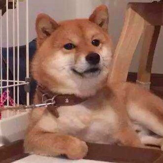 一直是蓝绿 