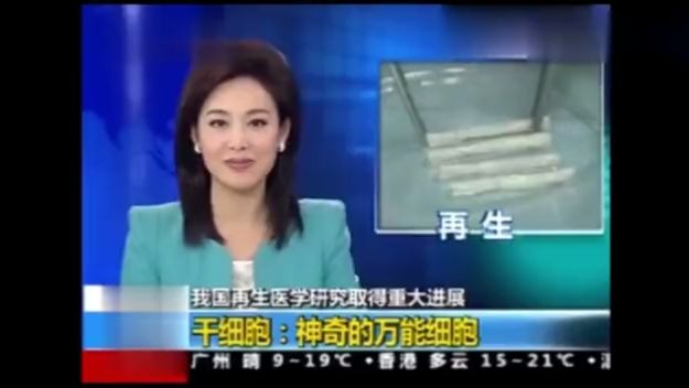 干细胞的相关介绍