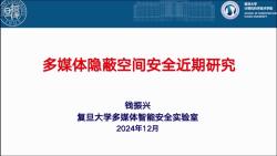 多媒体隐蔽空间安全近期研究