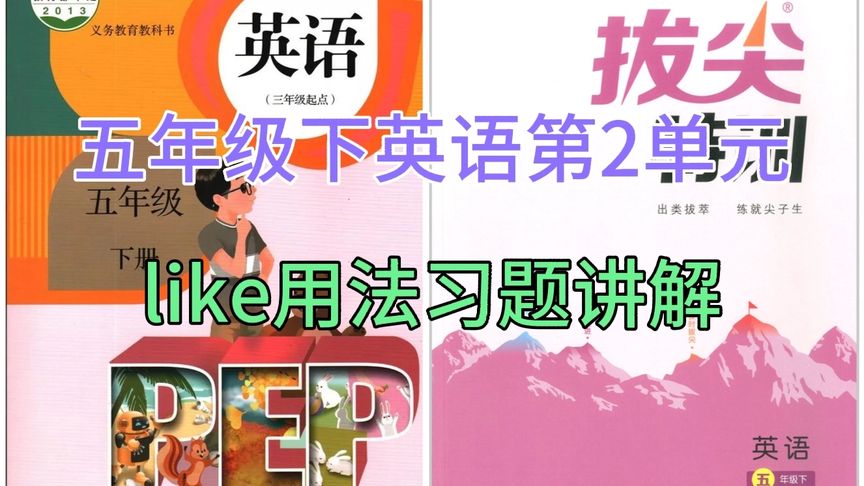 五年级下英语拔尖特训第2单元, like的用法习题讲解