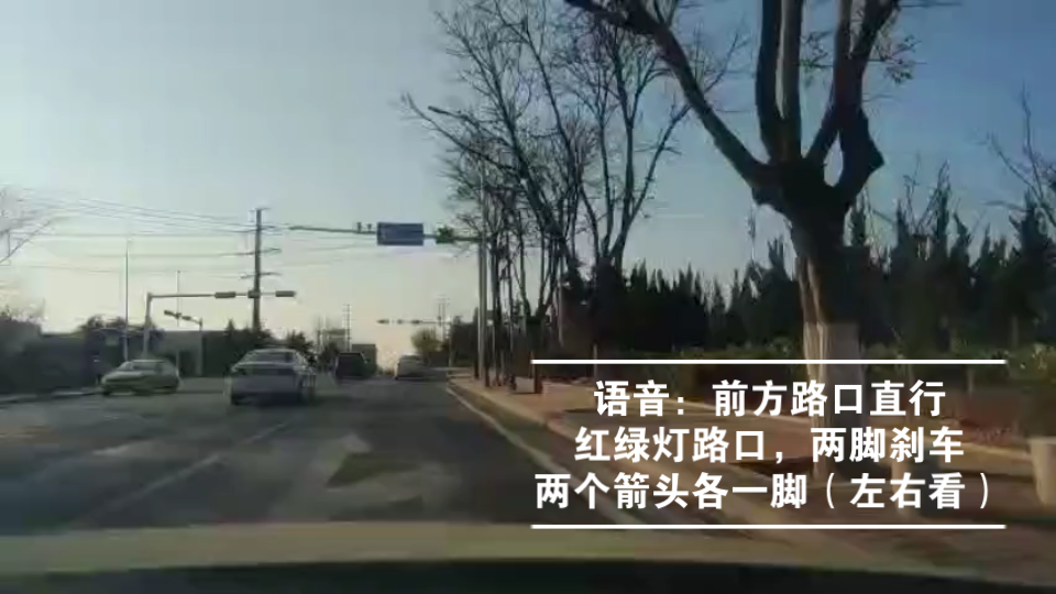 青岛市惜福镇驾考科目三自动挡院外模拟