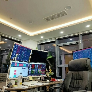 技术派队涨 